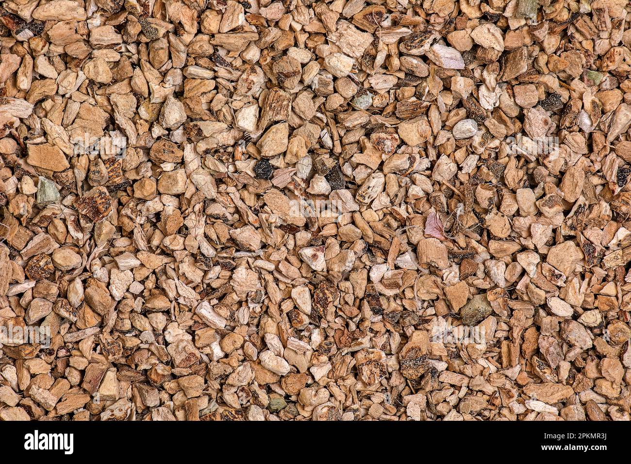 Background of organic dry calamus root. The Latin name is Acorus ...