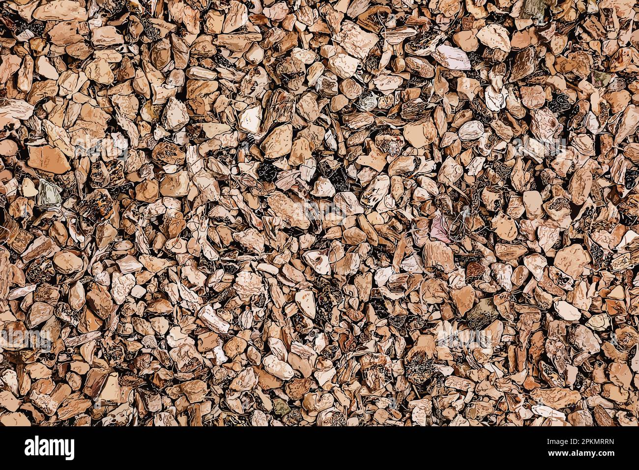 Illustration of background of organic dry calamus root. The Latin name ...