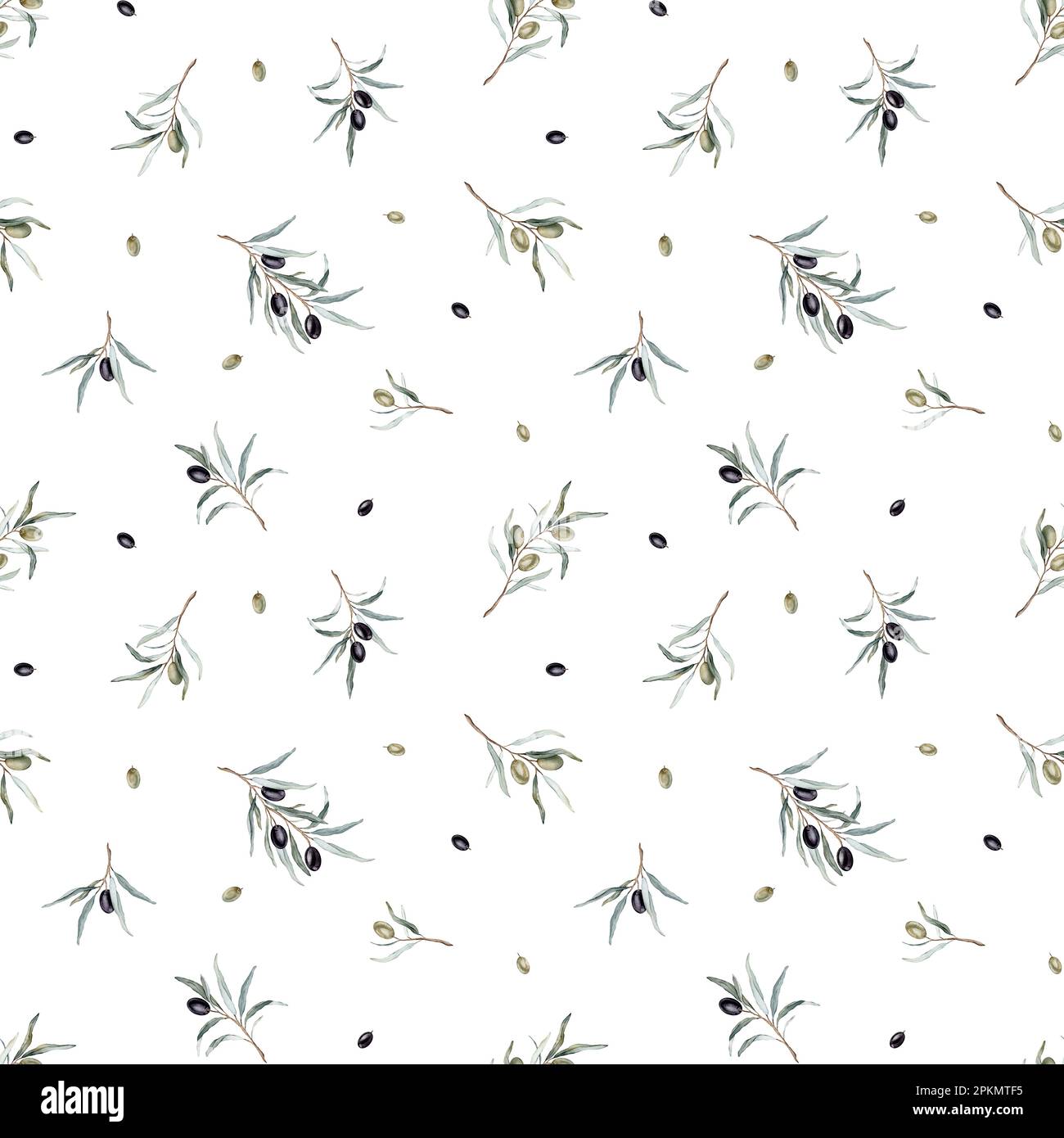 Watercolor seamless pattern with black and green olives and branch. Hand painted olives isolated ...