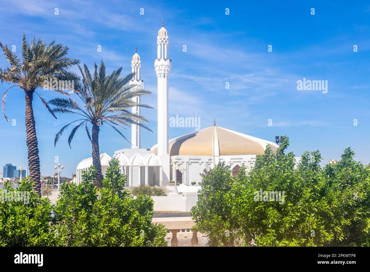 Hassan Enany golden domed mosque with palms in foreground, Jeddah ...