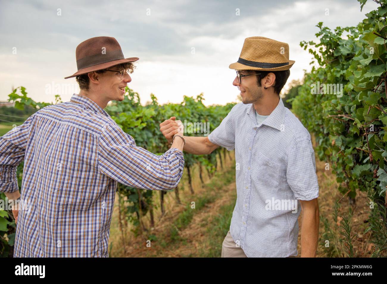 Two farmers shake hands and are happy as they stand in the vineyard ...