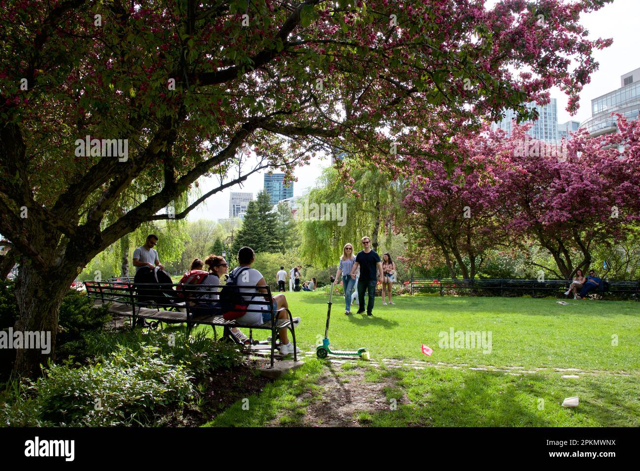 Toronto cityscape with flowers hi-res stock photography and images - Alamy
