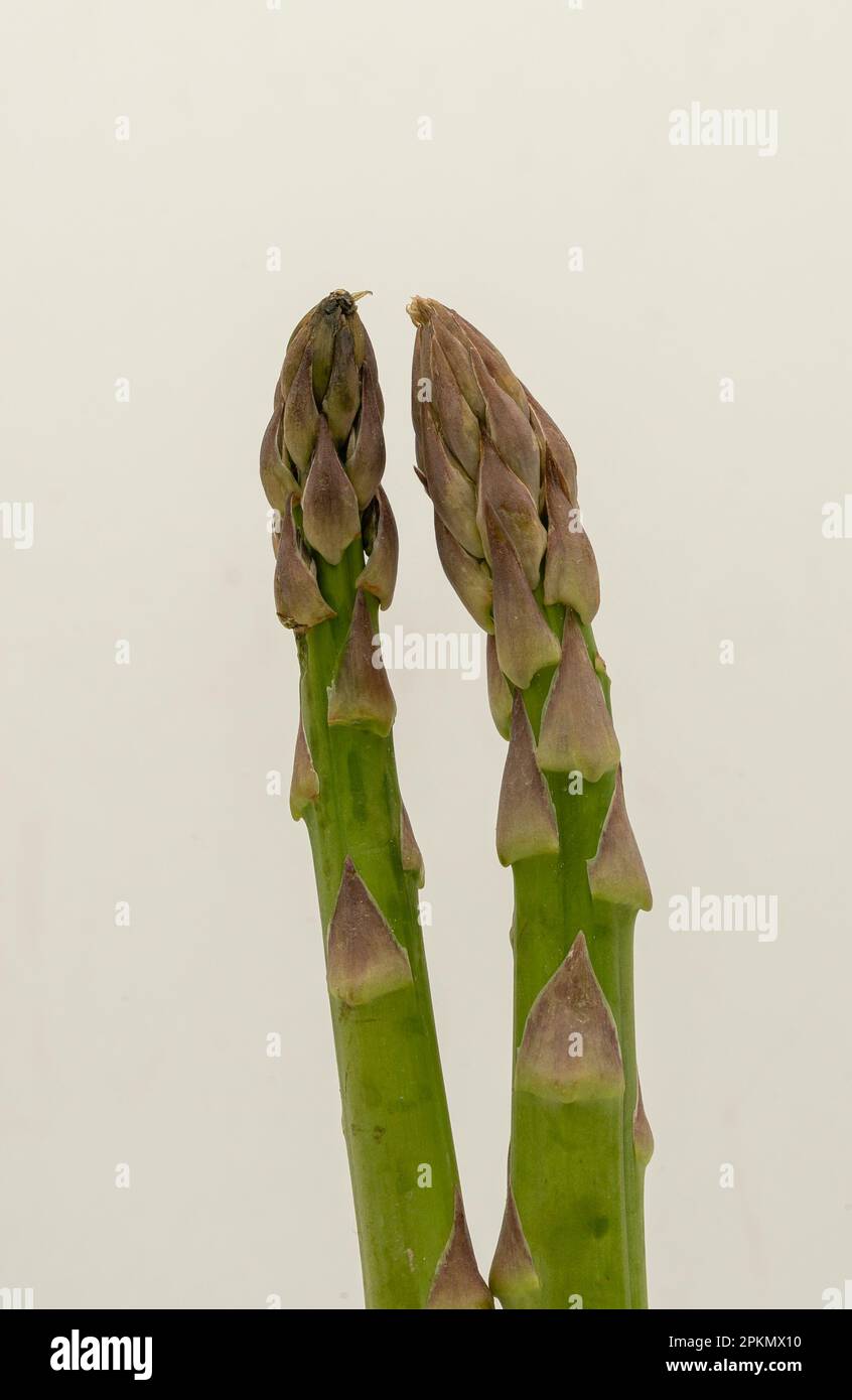 2 asparagus close-up. Fresh asparagus spears on isolated white ...