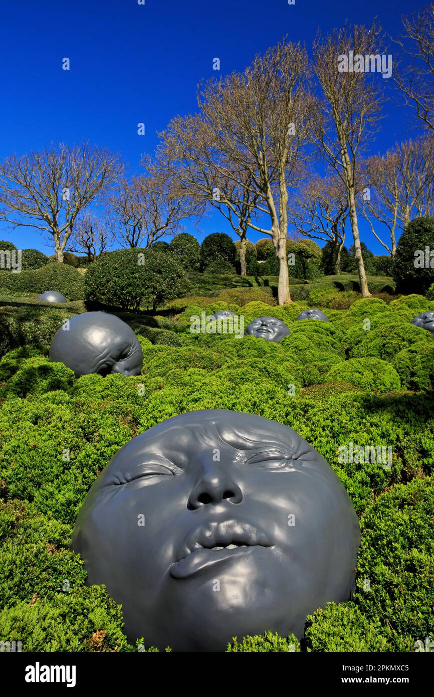 Drops of Rain (large faces depicting various human emotions) by Spanish ...
