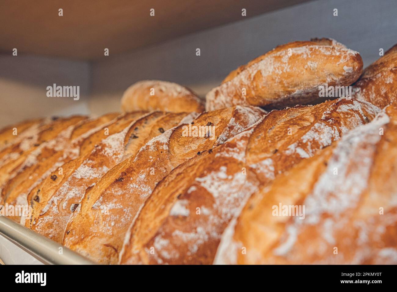 Horizontal photo of whole grain breads in a bakery Stock Photo - Alamy