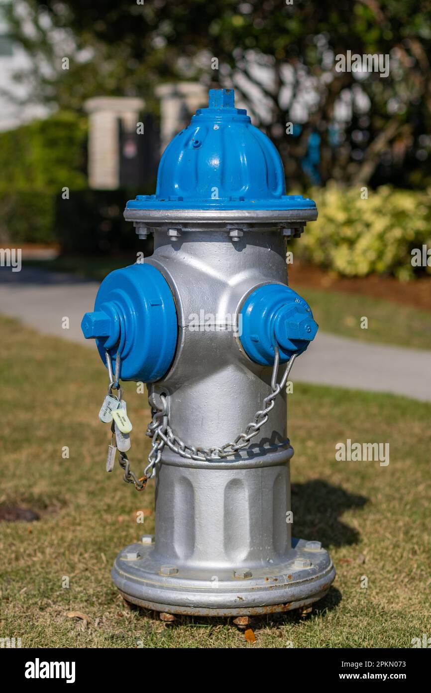 a fire hydrant in silver and blue colors with grass on the background ...