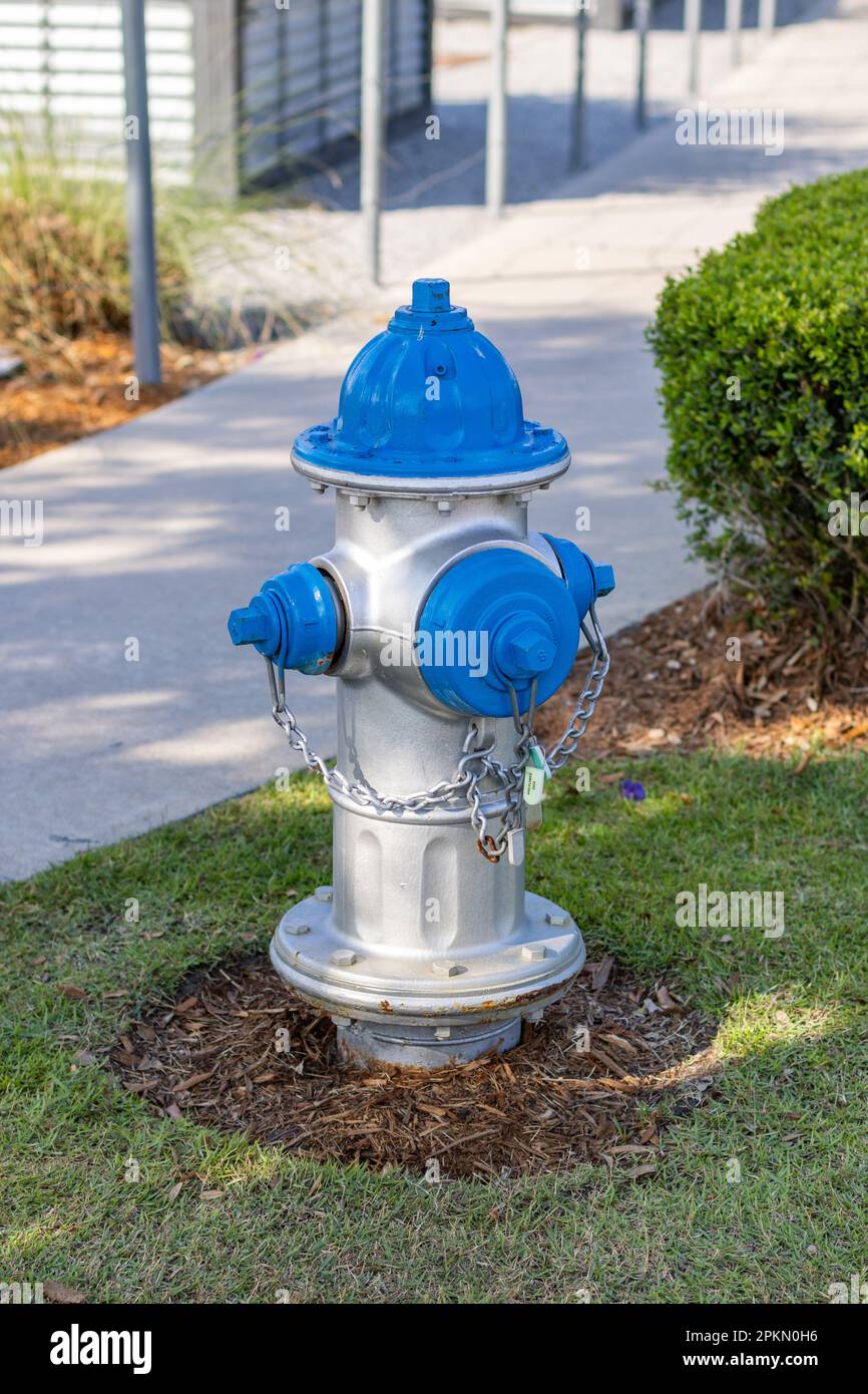 a fire hydrant in silver and blue colors with grass on the background ...