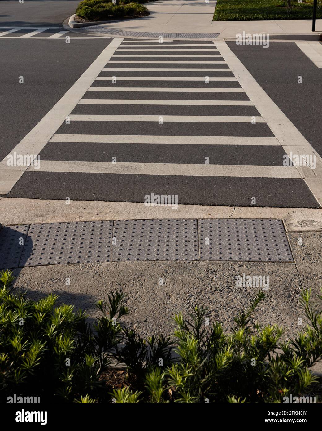 A picture of a white-painted crosswalk on the road, sunny day. Taken in ...