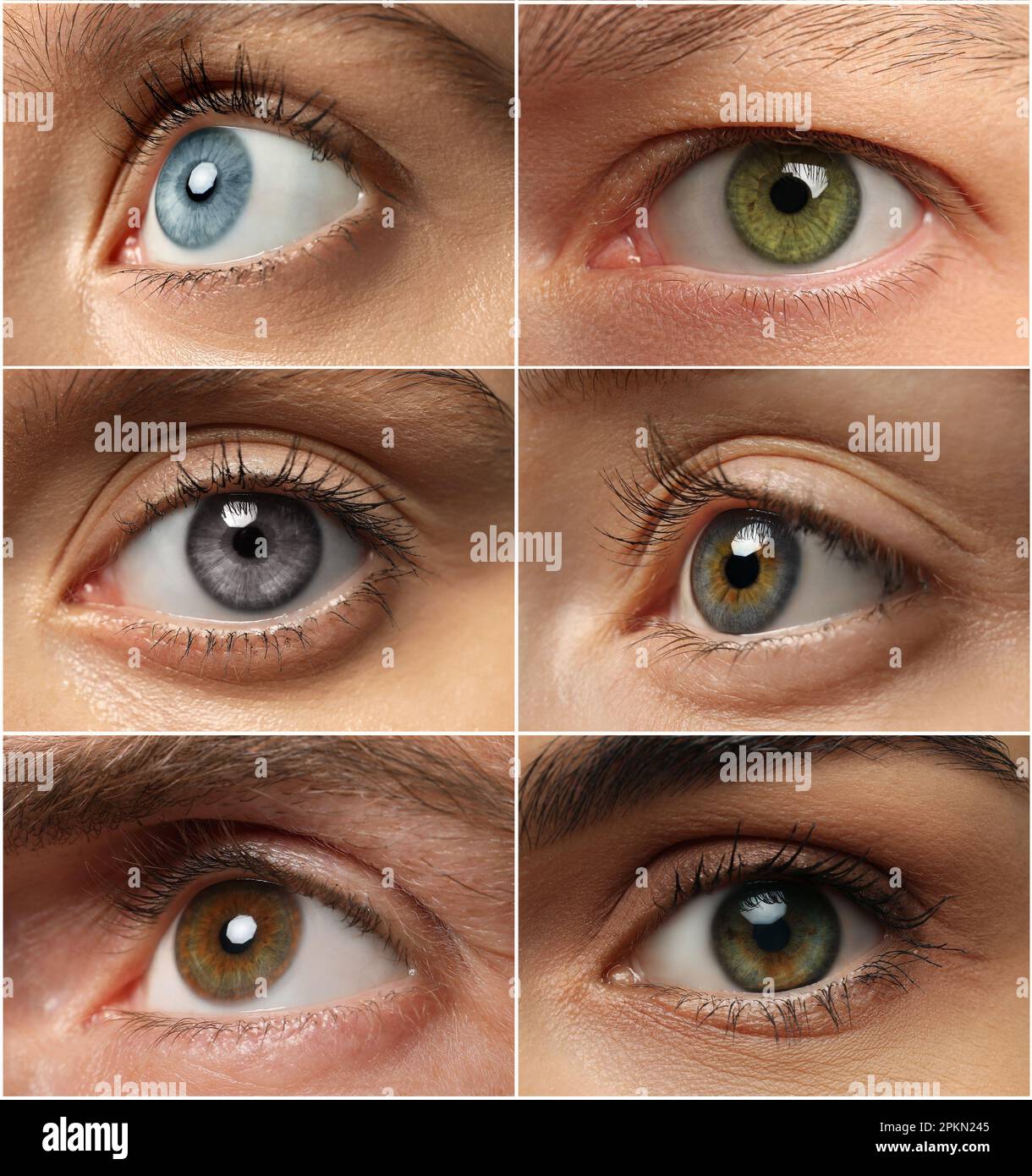 Collage with photos of people with beautiful eyes of different colors ...