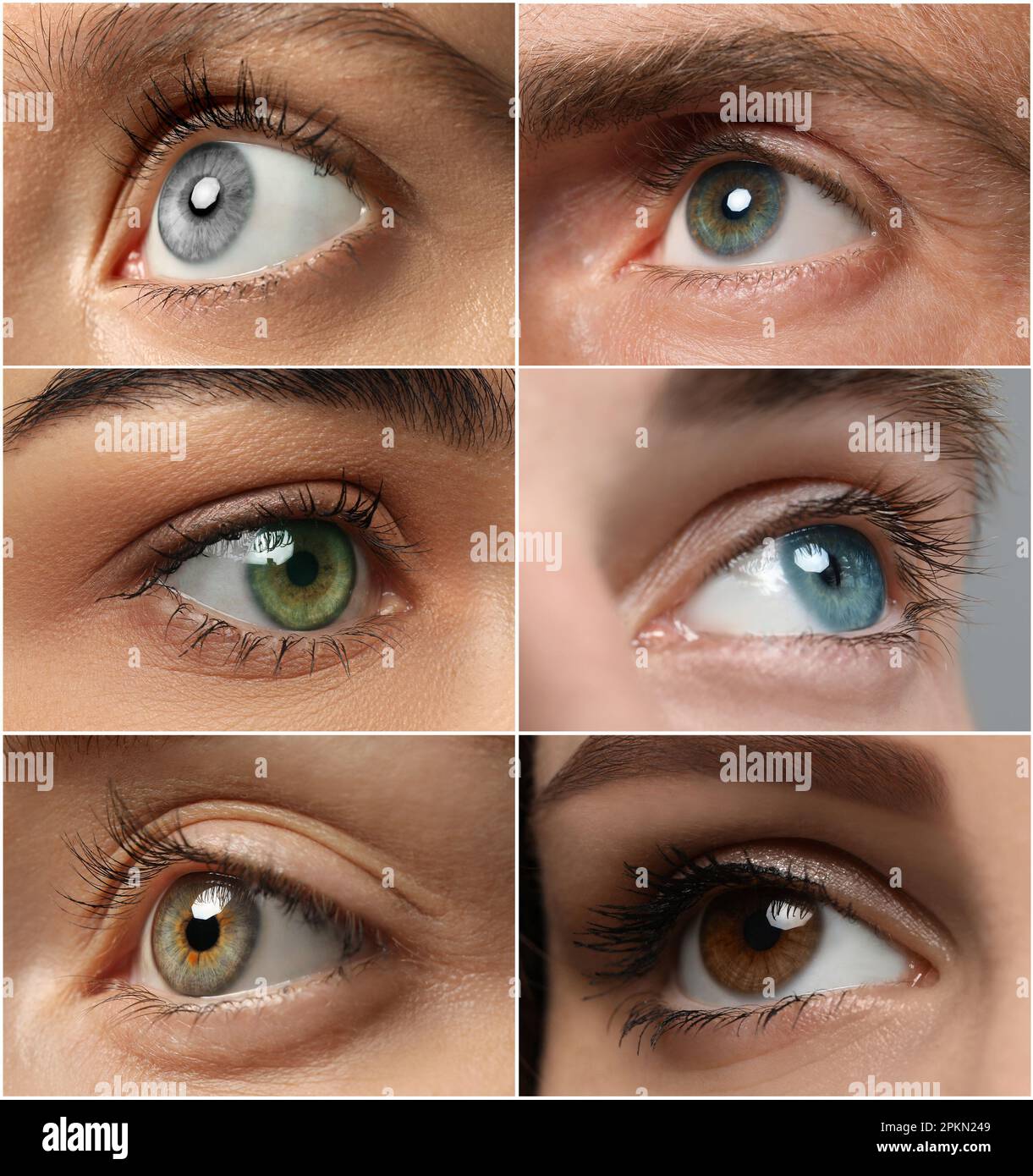 Collage with photos of people with beautiful eyes of different colors ...