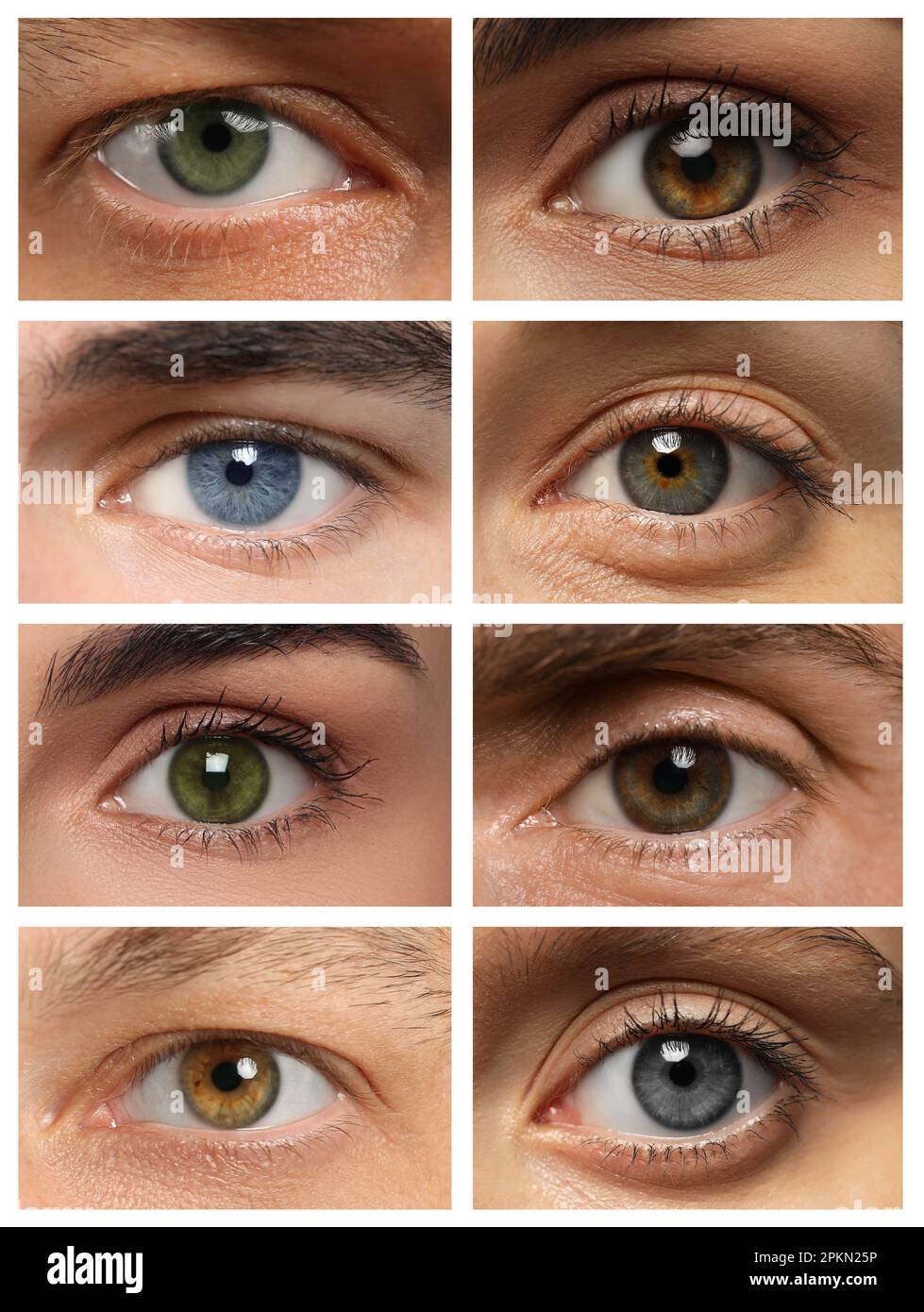Collage with photos of people with beautiful eyes of different colors ...