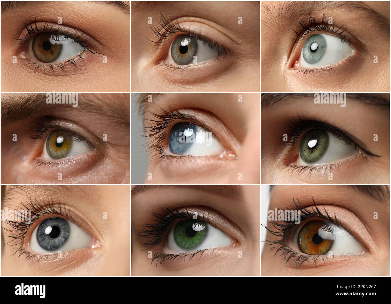 Collage with photos of people with beautiful eyes of different colors ...