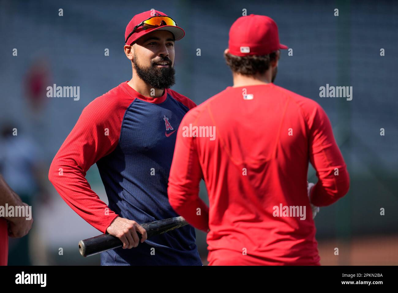 Los Angeles Angels third baseman Anthony Rendon, left, talks with ...