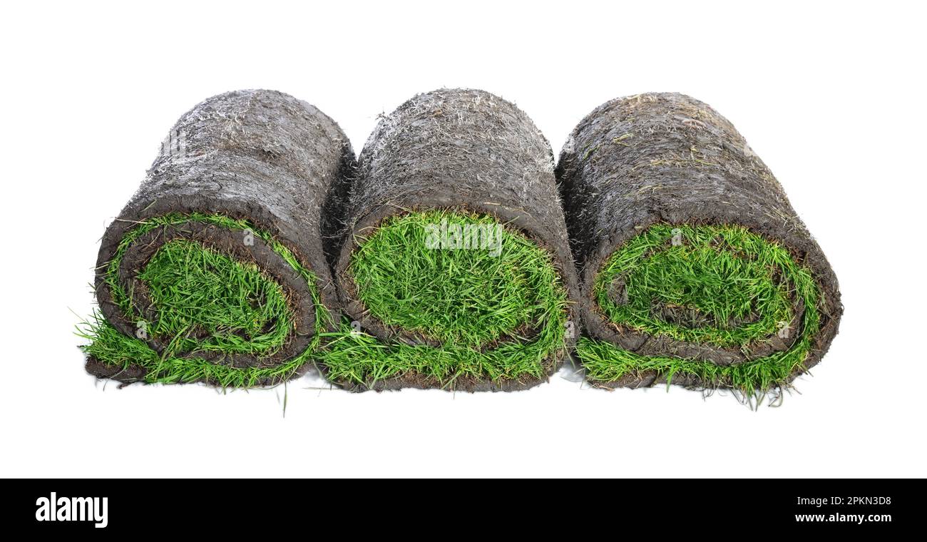 Rolls of grass sod on white background Stock Photo - Alamy
