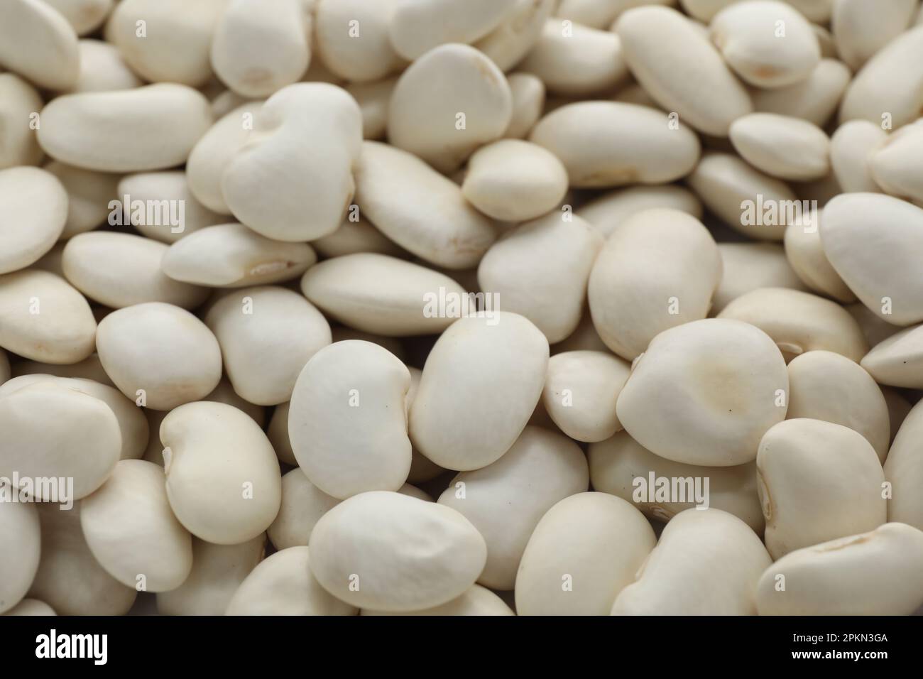 Pile of uncooked white beans as background, closeup Stock Photo - Alamy