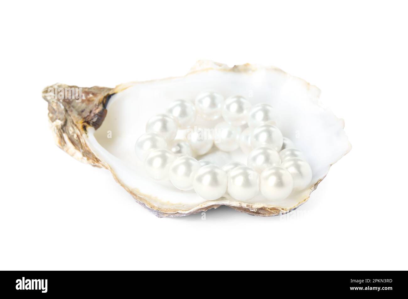 Oyster shell with pearls on white background Stock Photo - Alamy