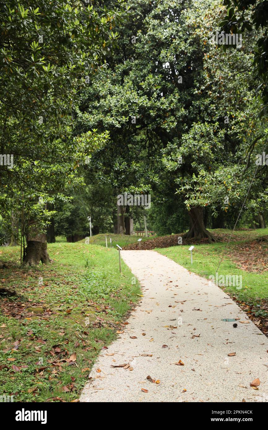 Picturesque view of tranquil park with paved pathway Stock Photo - Alamy