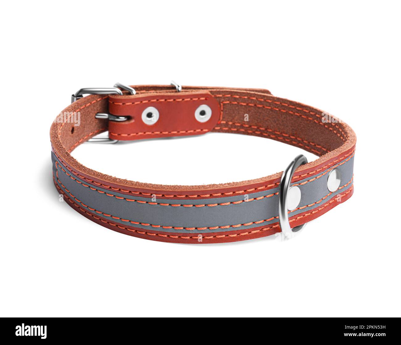 Grey neck collar Cut Out Stock Images & Pictures - Alamy