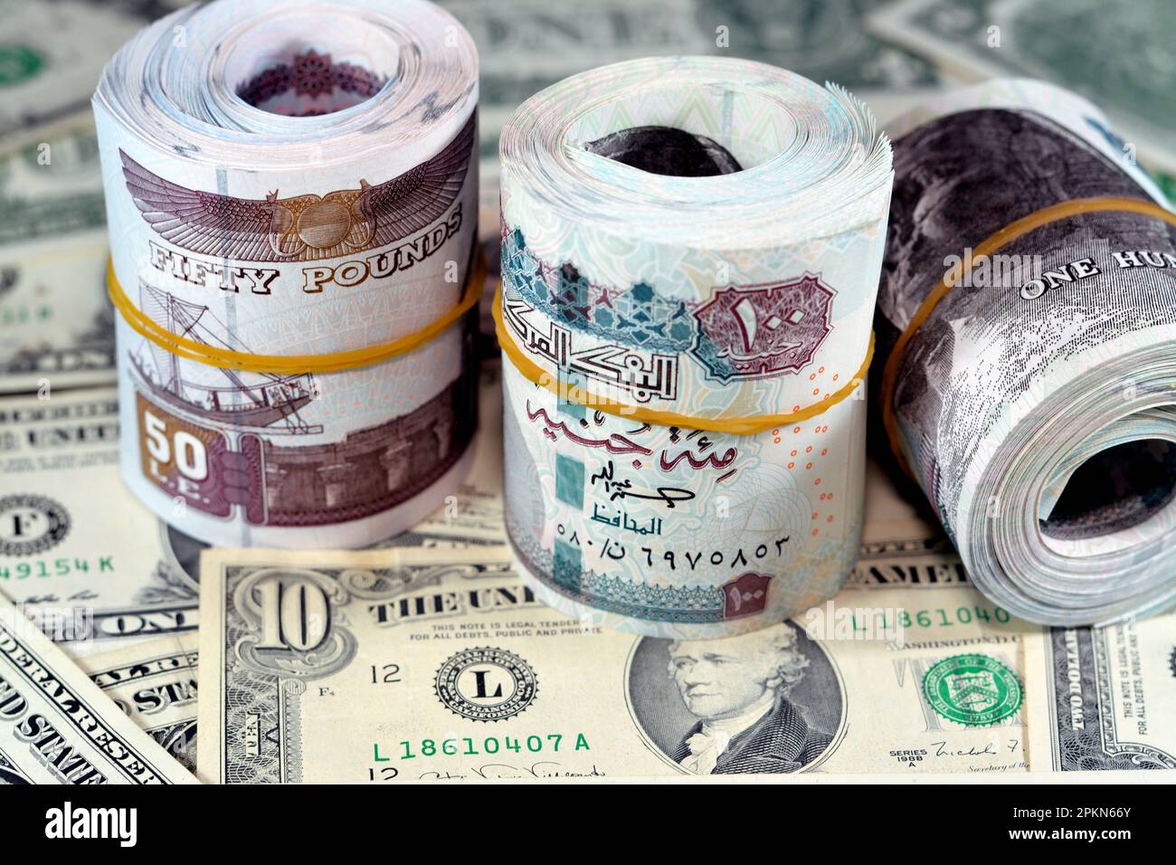 Rolls of Egypt money banknote bills of 100 and 50 EGP LE one hundred ...