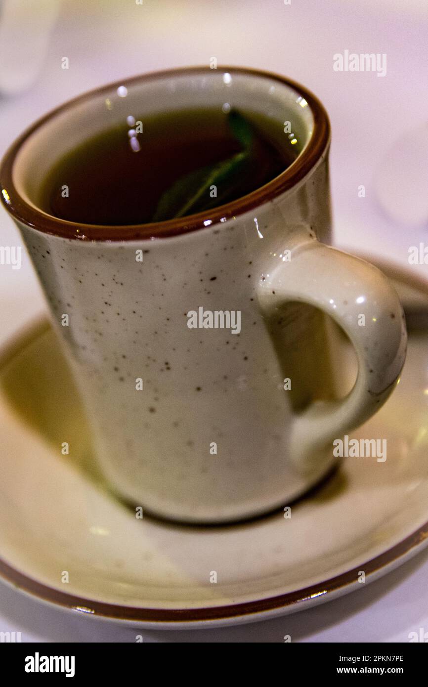 Mediterranean Mint Hot Tea Stock Photo - Alamy