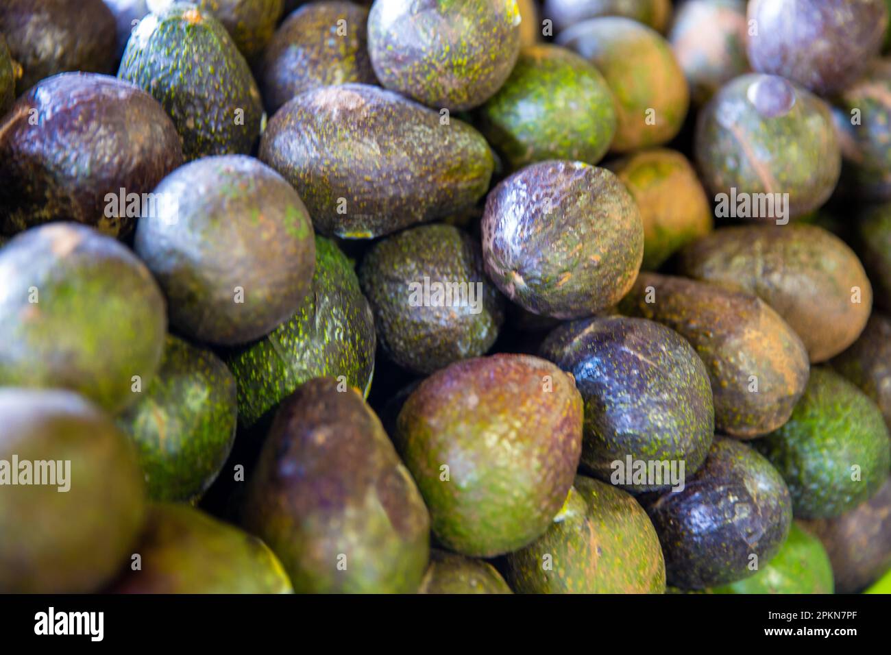 Bunch of avocados hi-res stock photography and images - Alamy