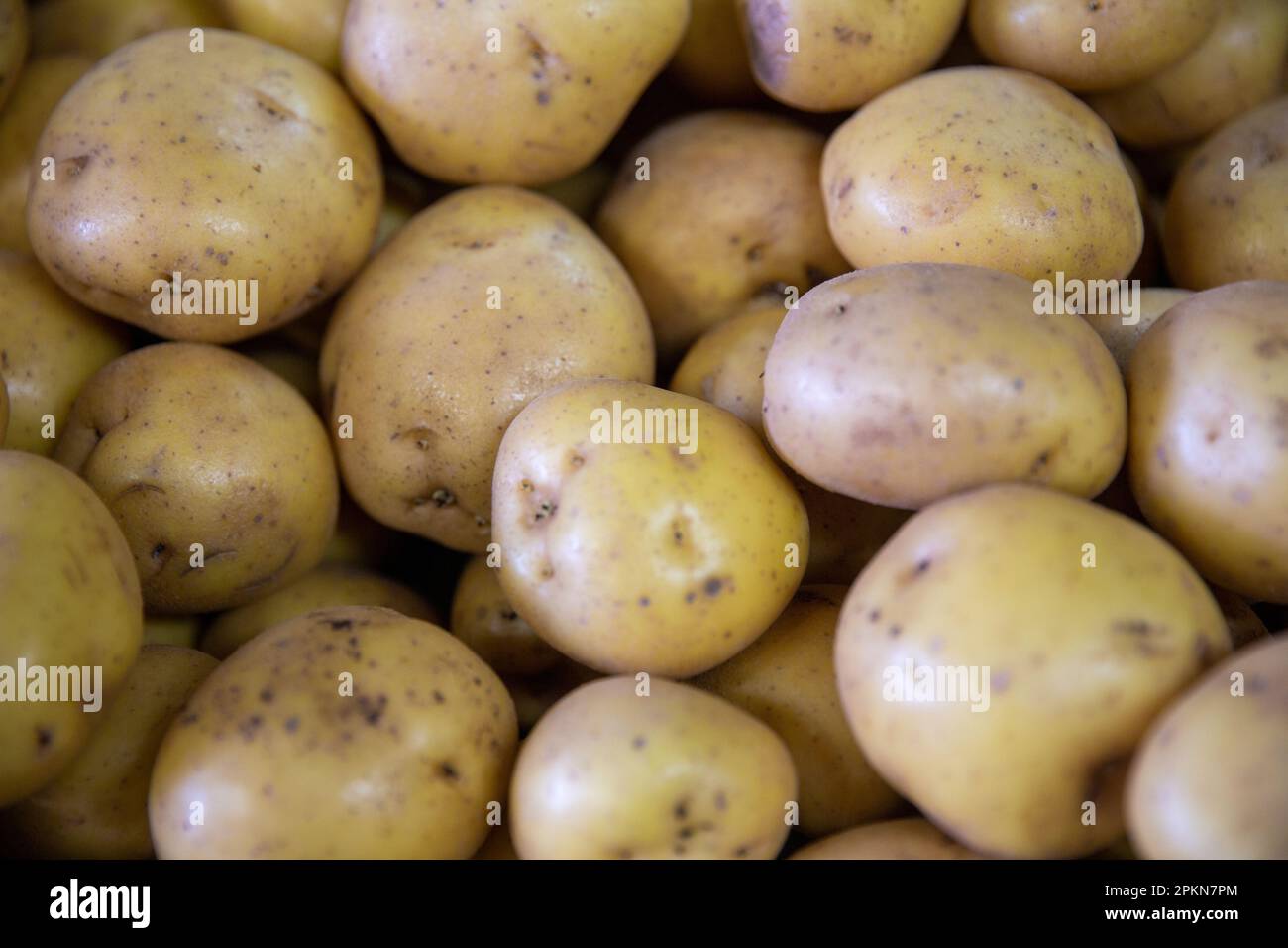 Golden potatoes hi-res stock photography and images - Alamy