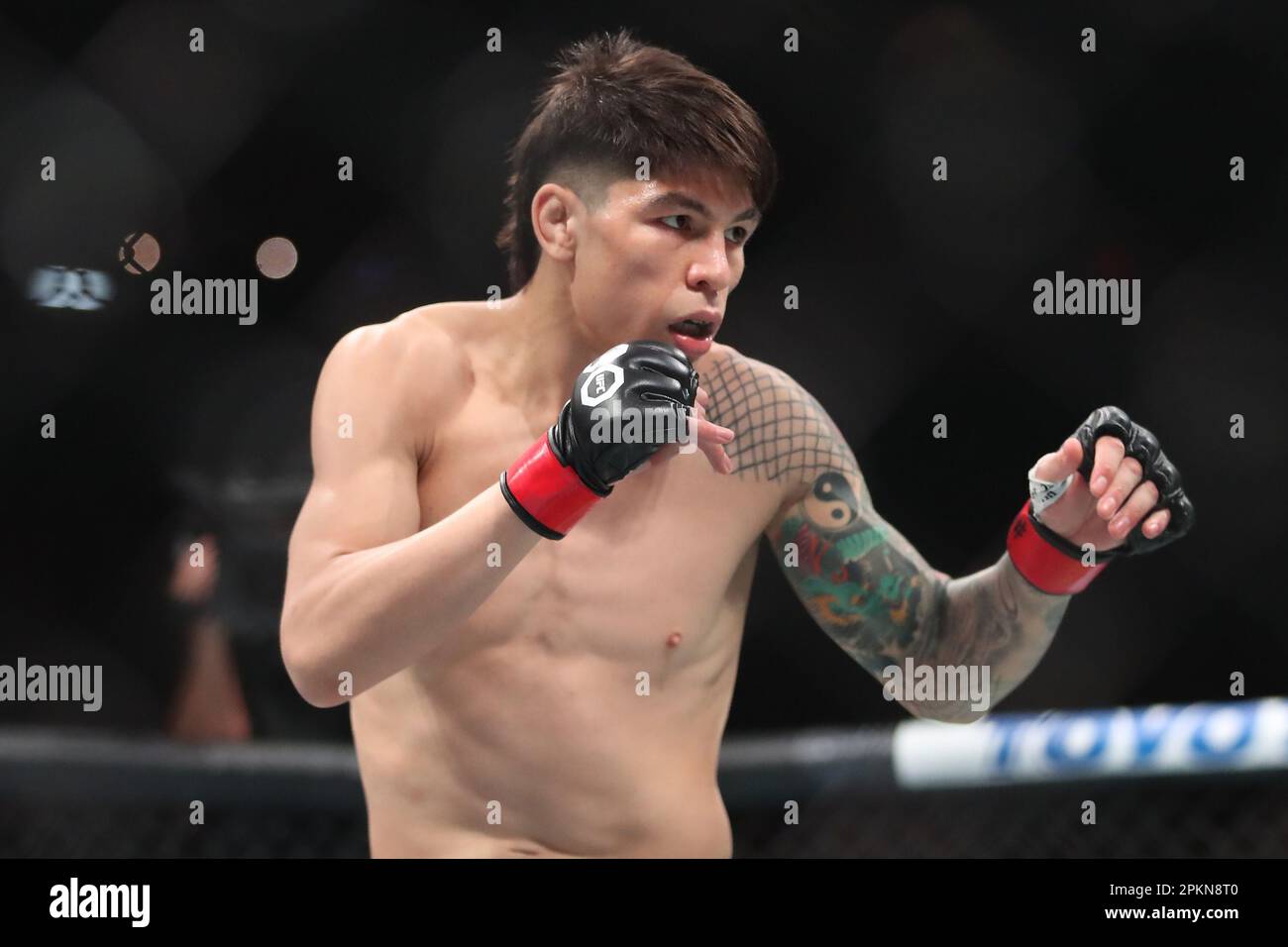 Miami, FL, Miami, Florida, USA. 8th Apr, 2023. MIAMI, FLORIDA - APRIL 8 ...