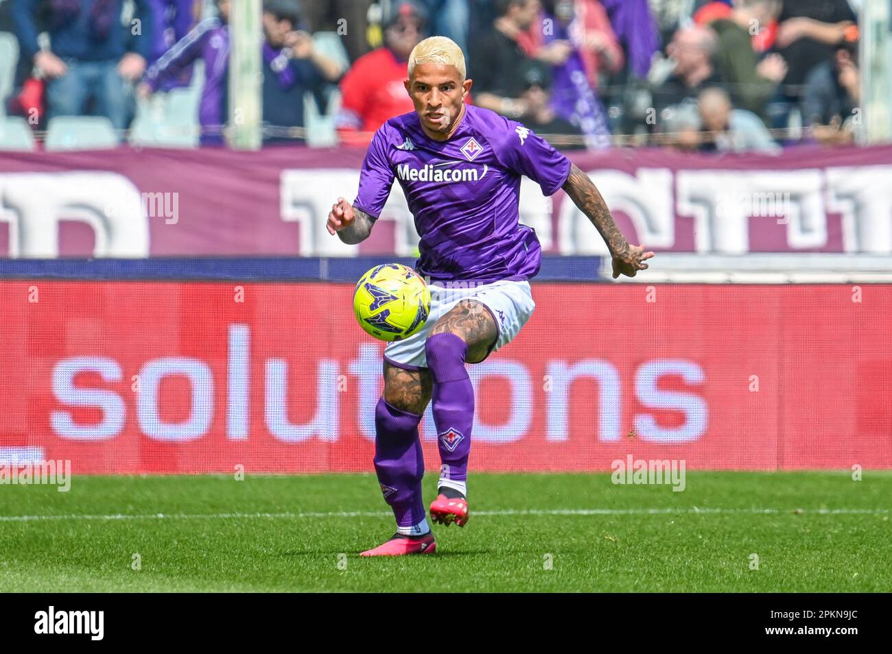 Spezia dodo hi-res stock photography and images - Alamy