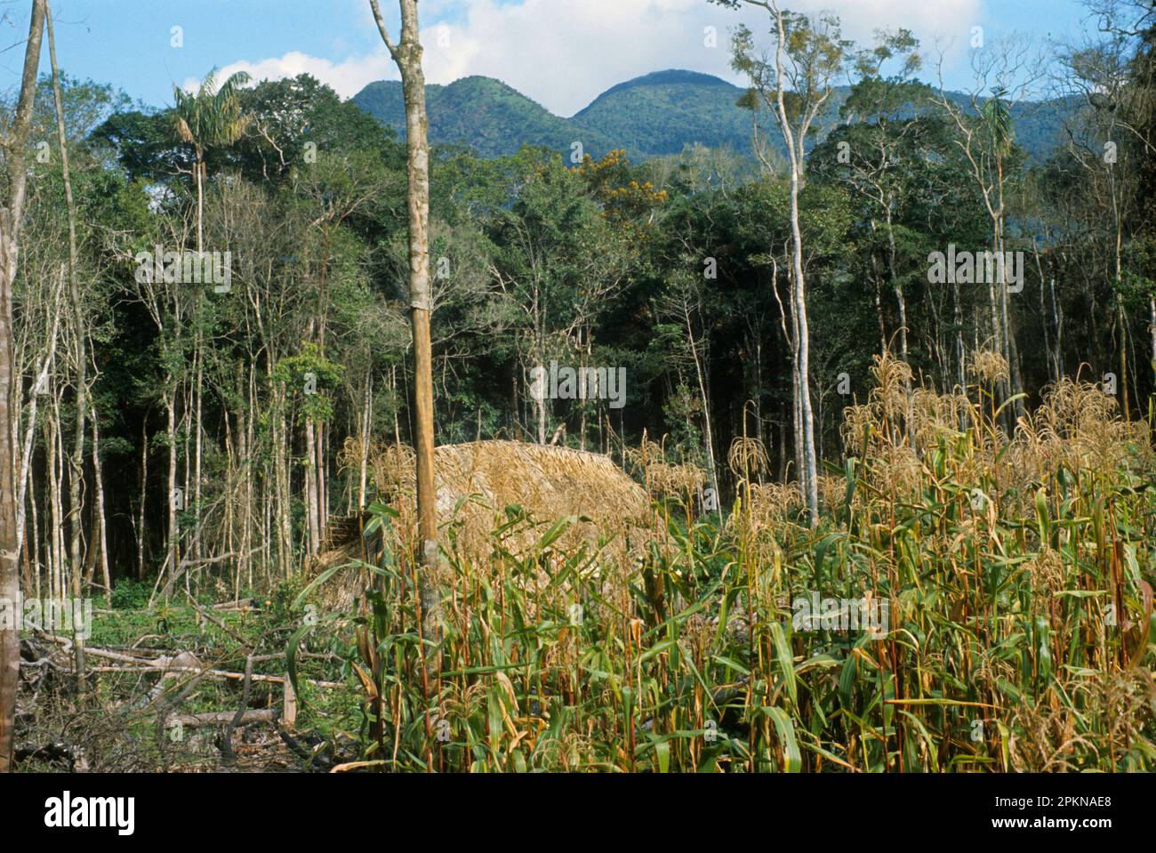 Guiana Highlands Guiana Highlands Hi Res Stock Photography And Images