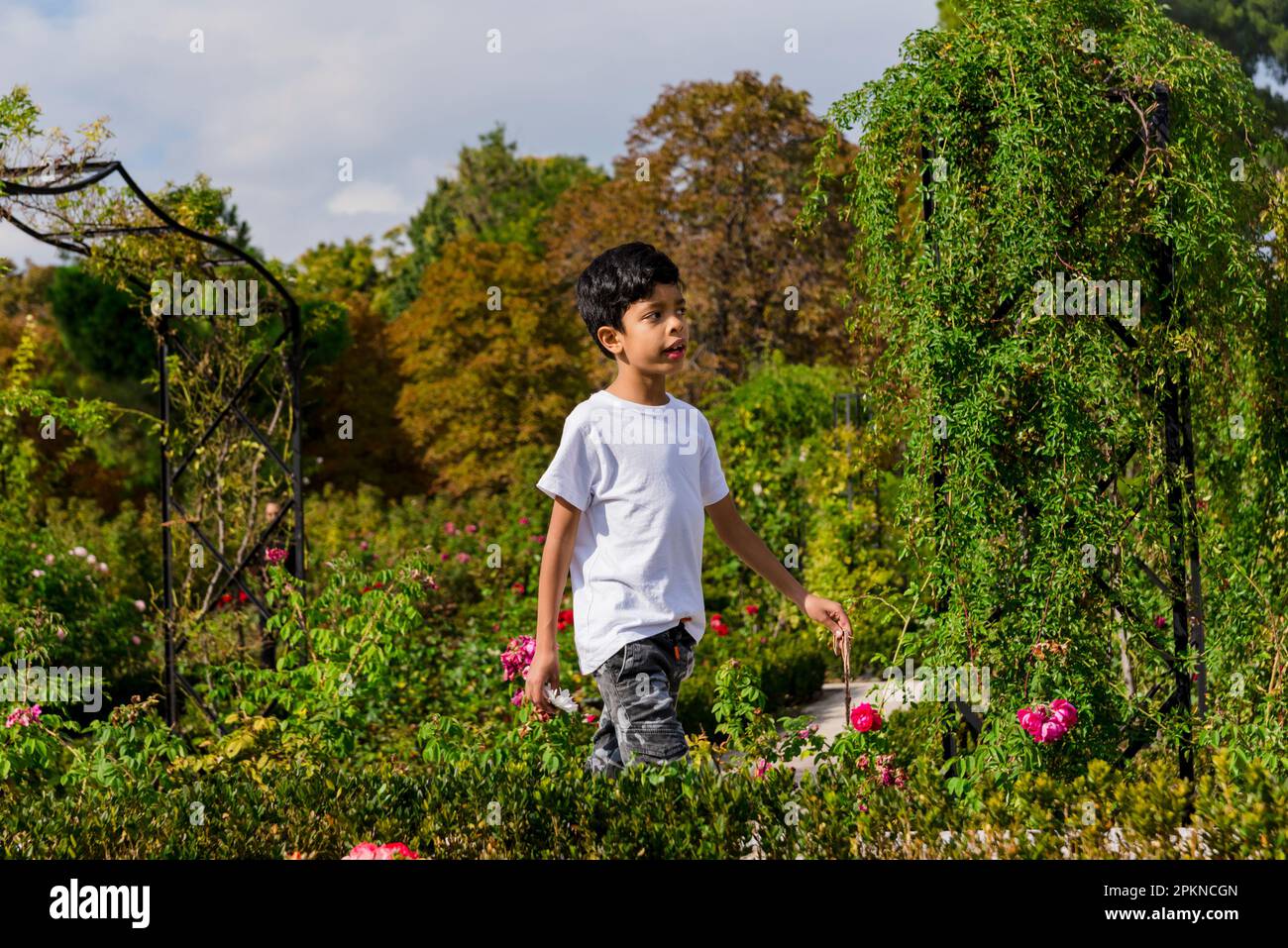 Young boy walking calmly in the park Stock Photo - Alamy