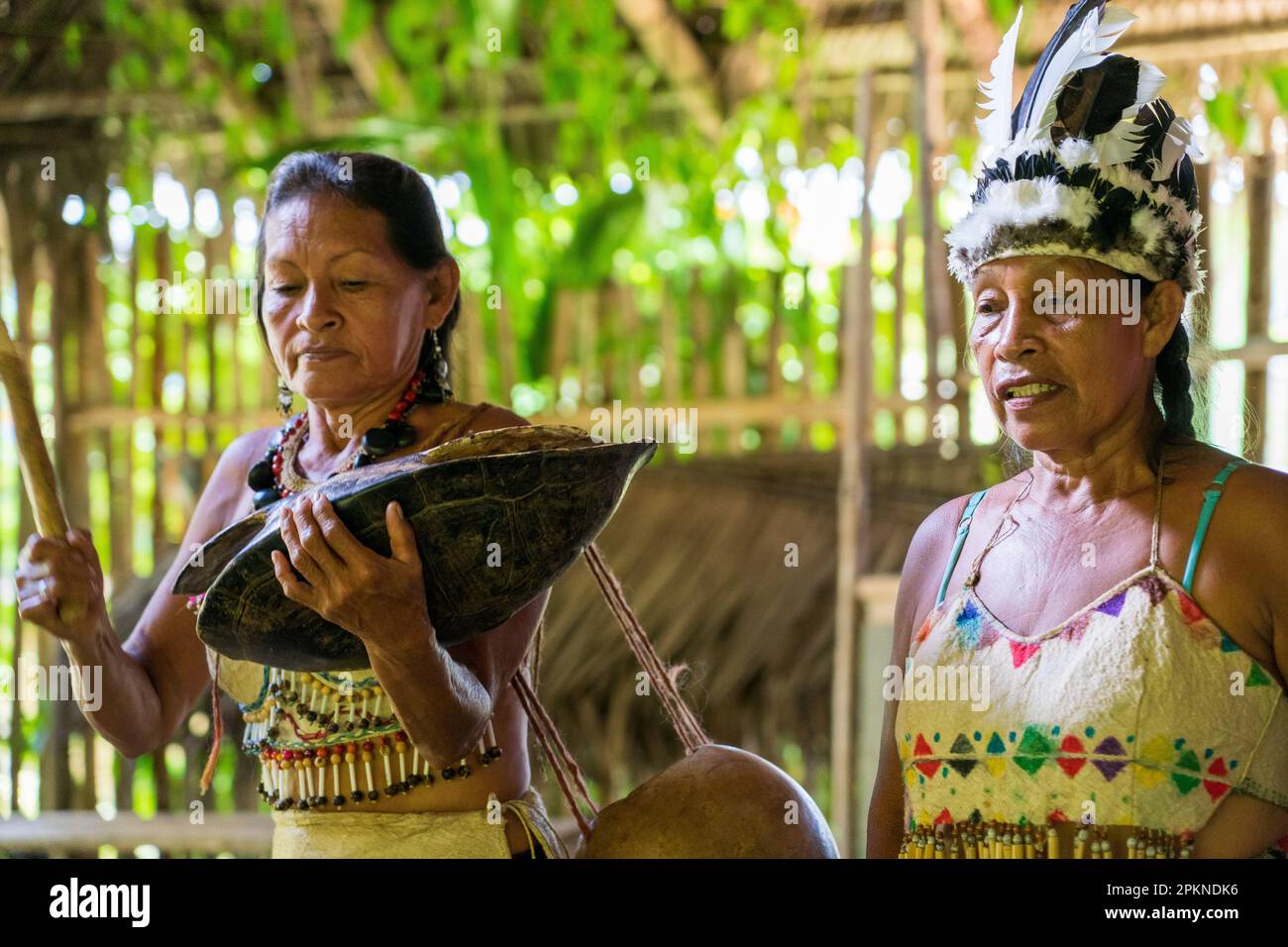 Ticuna women of Colombia reenact traditional dancing and music Stock ...