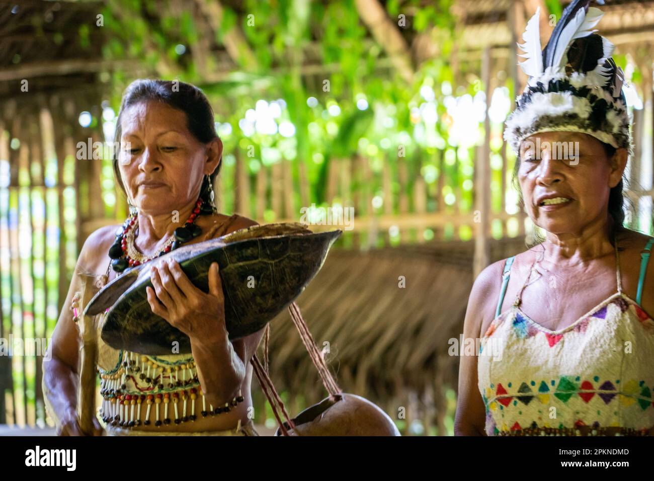 Ticuna women of Colombia reenact traditional dancing and music Stock ...