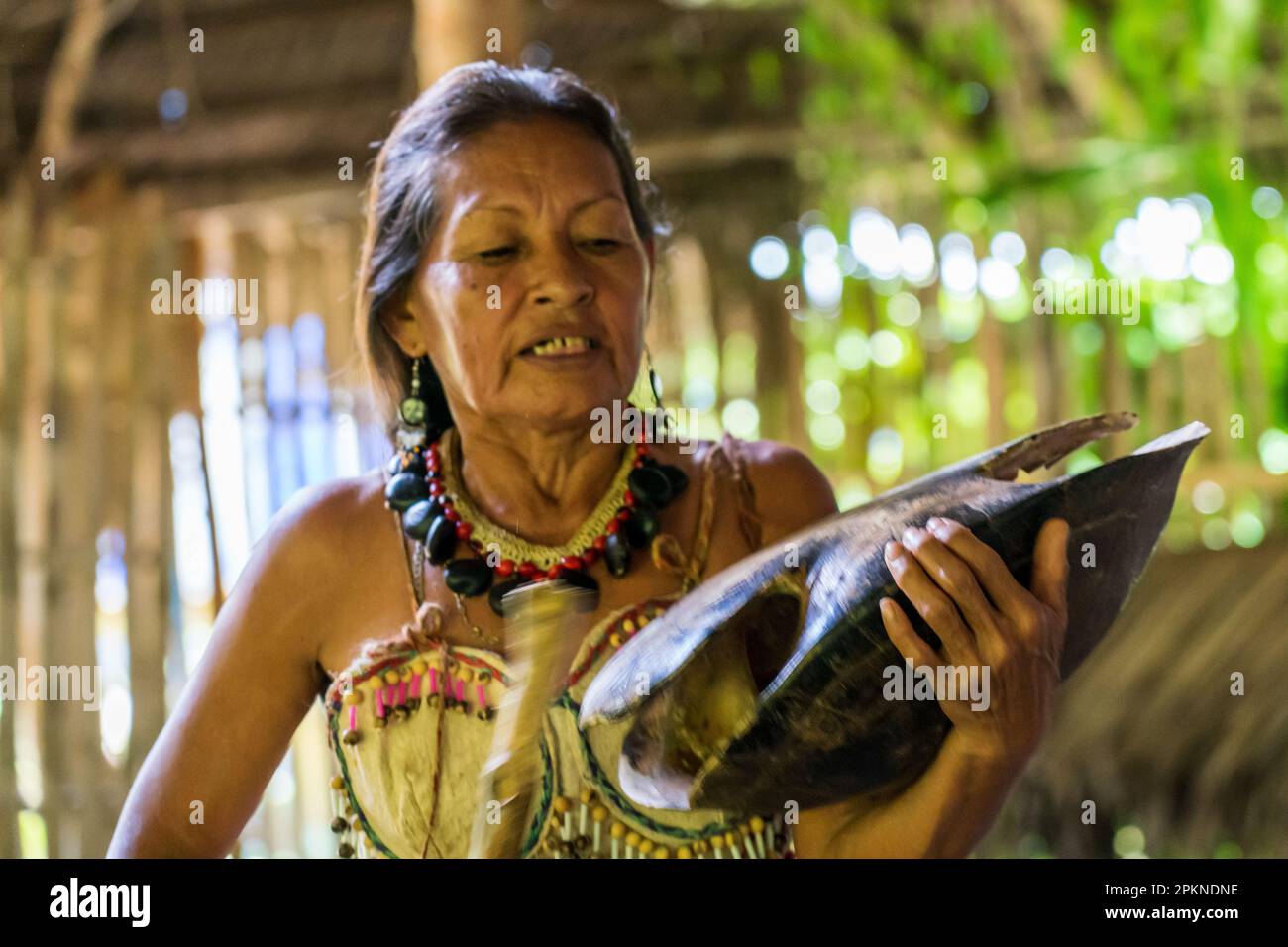 Ticuna women of Colombia reenact traditional dancing and music Stock ...