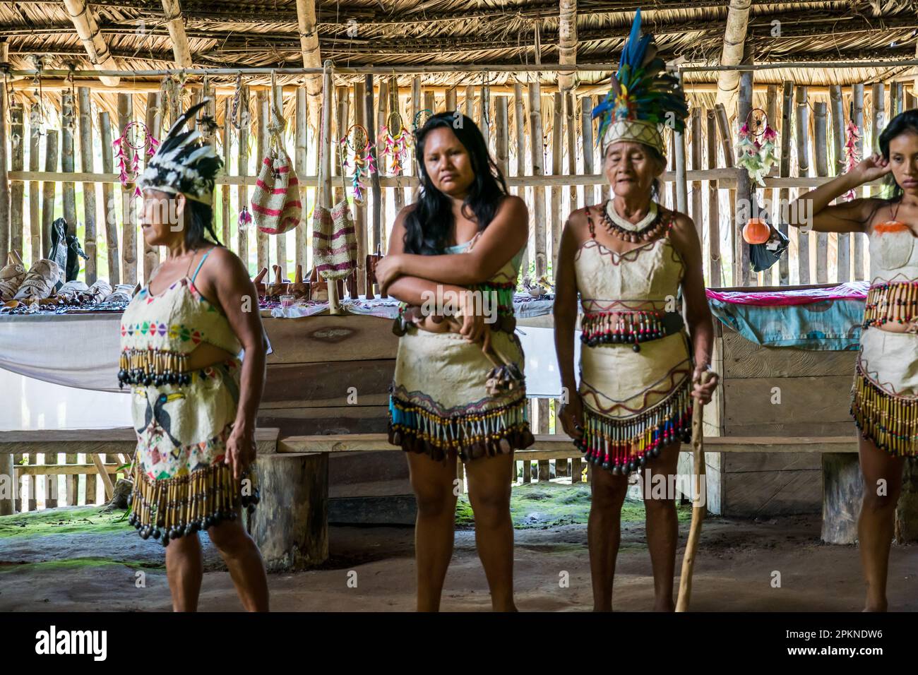 Ticuna women of Colombia reenact traditional dancing and music Stock ...
