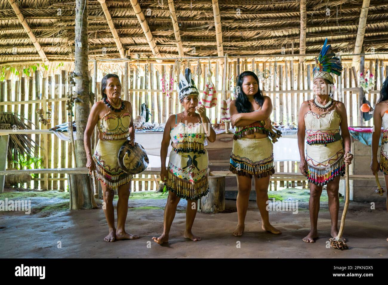 Ticuna women of Colombia reenact traditional dancing and music Stock ...