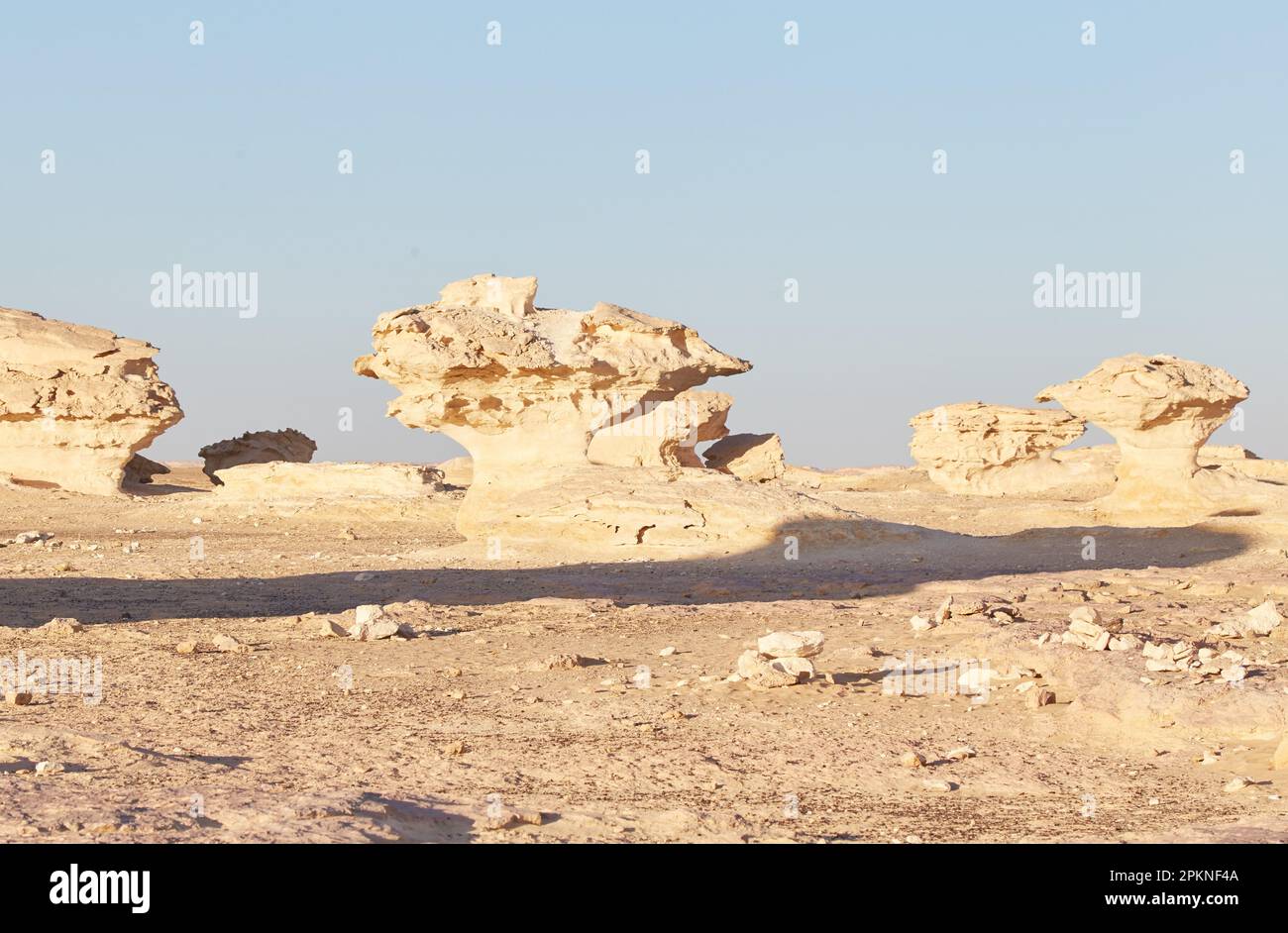 The Otherworldly White Desert Near Egypt's Bahariya Oasis Stock Photo - Alamy