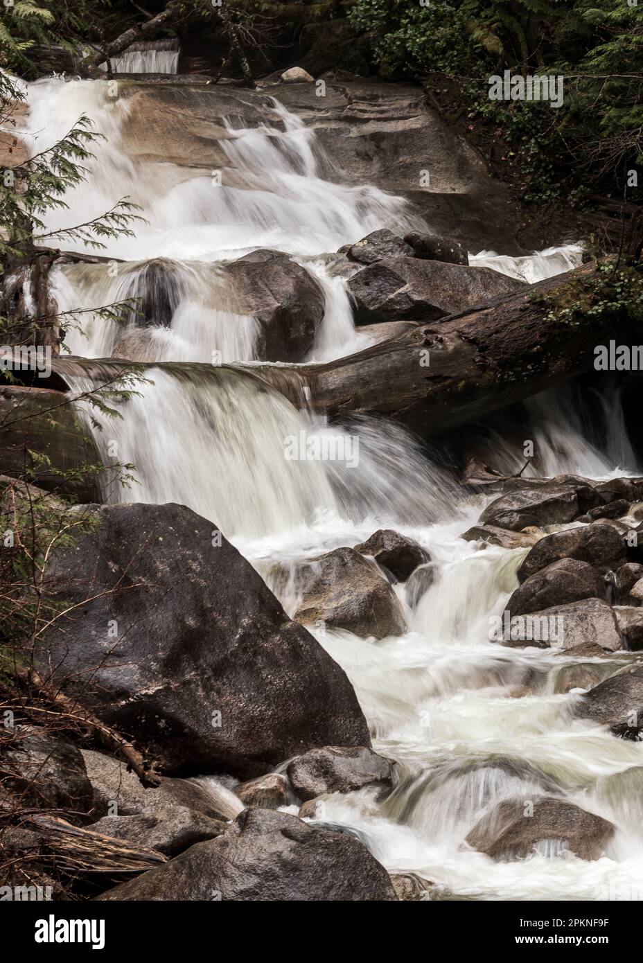Shannon Falls is the third tallest waterfall in British Columbia and ...