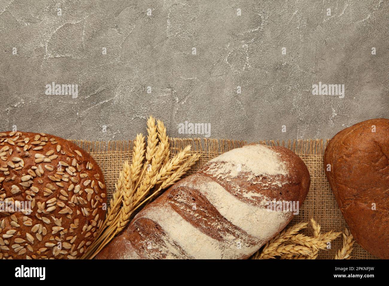 Fresh dark bread with spikelet of wheat on grey concrete table. Top ...