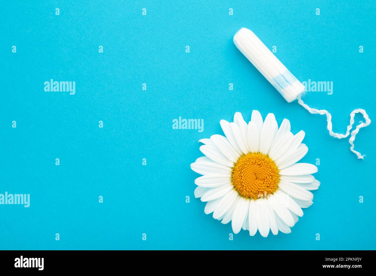 Medicinal chamomile flower and menstrual sanitary tampon. Medical ...