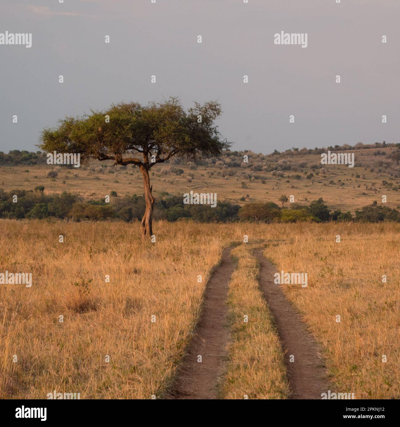 African game ranger hi-res stock photography and images - Alamy