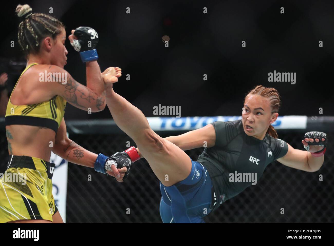 Miami, FL, Miami, Florida, USA. 8th Apr, 2023. MIAMI, FLORIDA - APRIL 8 ...