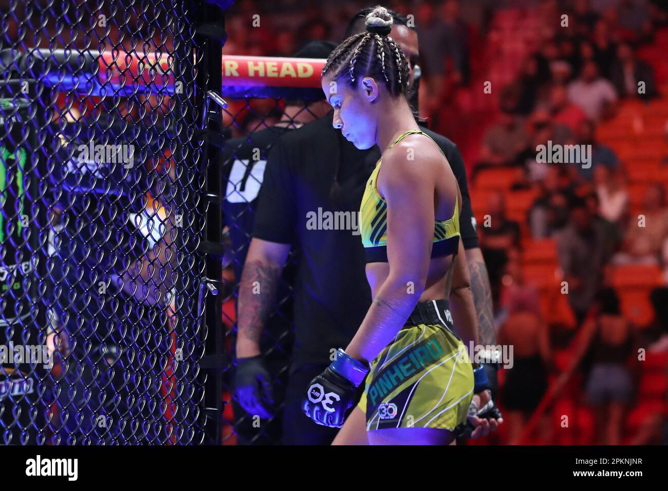 Luana pinheiro ufc hi-res stock photography and images - Alamy
