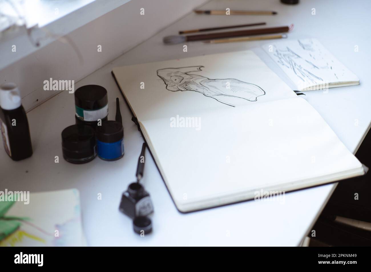 creative workplace of artist with sketchbook, pen and black ink. Female ...