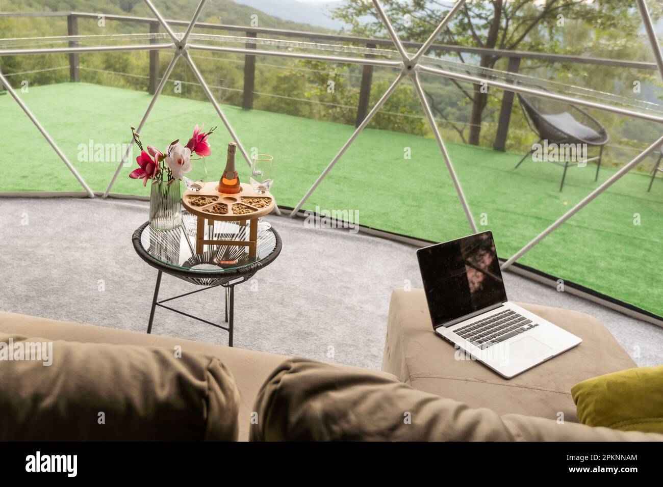 Computer table plant grass flower hi-res stock photography and images ...