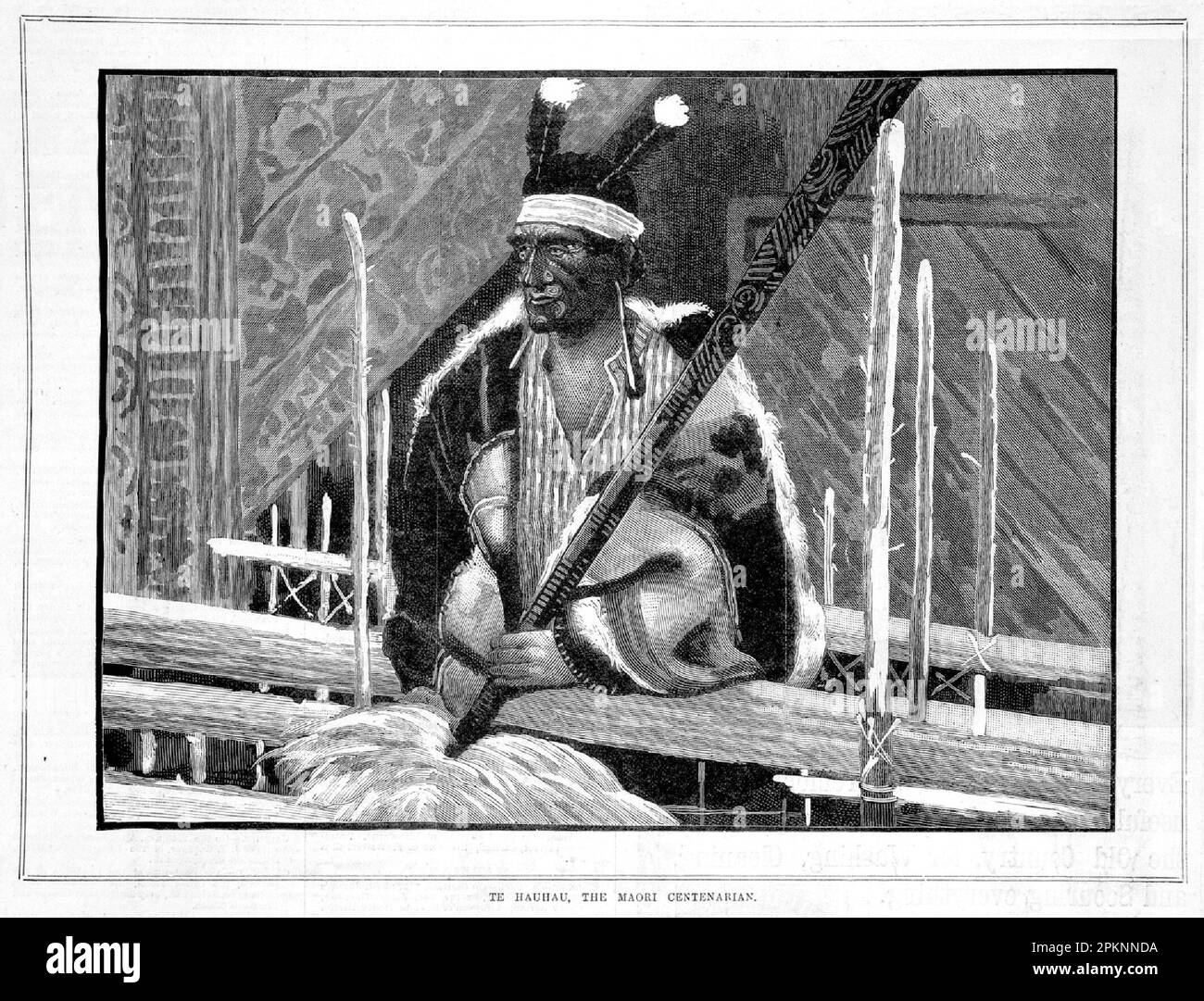 A maori warrior Black and White Stock Photos & Images - Alamy