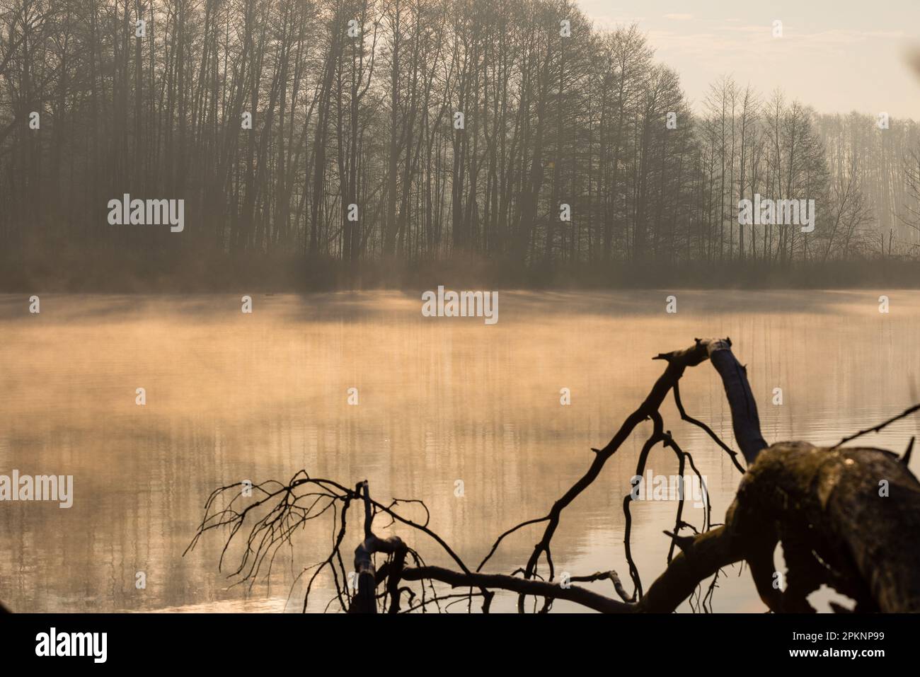 Kolkwitz, Germany. 09th Apr, 2023. After a night with temperatures ...