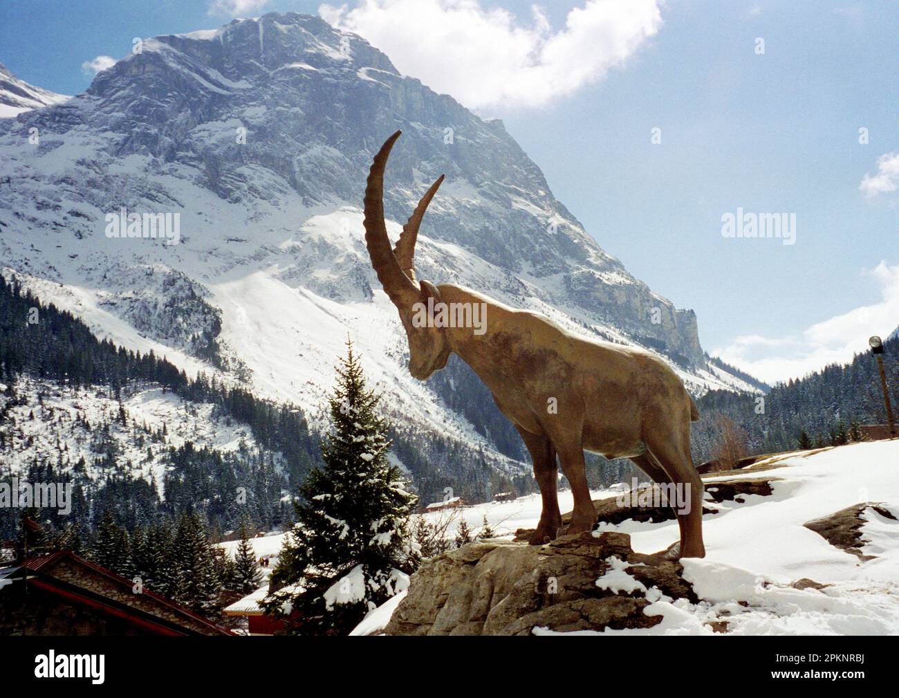 Bronze ibex from Pralognan ski resort in the Alps Stock Photo - Alamy