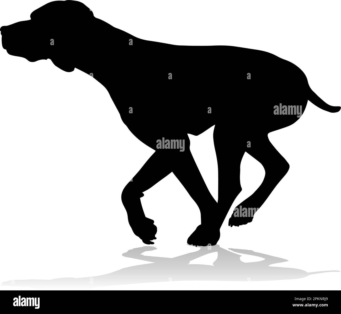 Beagle dog silhouettes hi-res stock photography and images - Alamy
