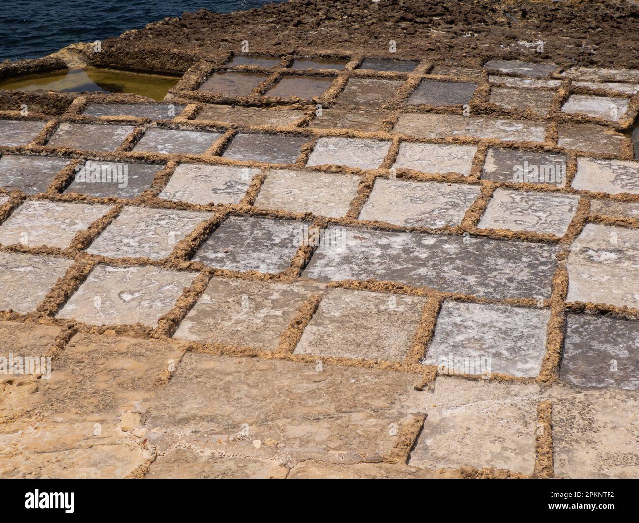 Salt evaporation ponds on the coast of the island of Gozo also called ...
