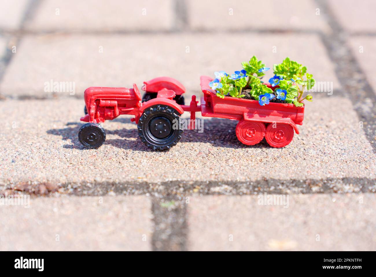 Red toy tractor carrying a colorful flowerbed placed on a sidewalk ...